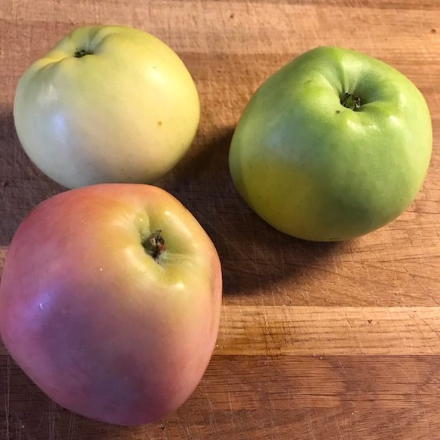 Trær – Hagen gjennom året