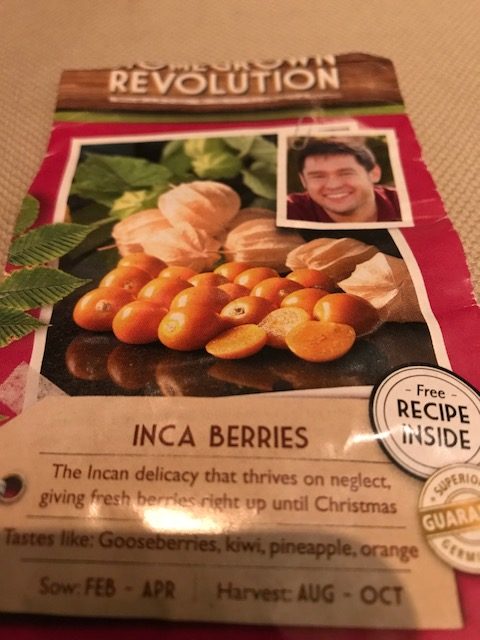 Tidlig såing av Physalis – Hagen gjennom året